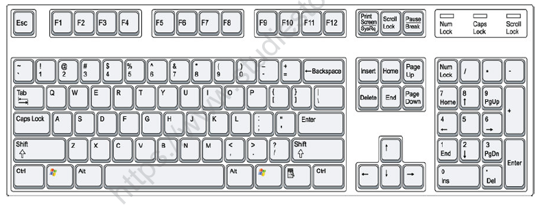 CBSE Class 1 Computer Science Operating A Keyboard Worksheet